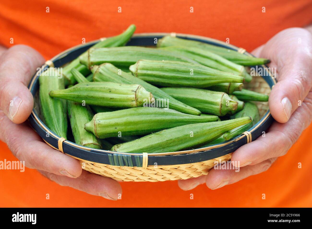 Okra Plant High Resolution Stock Photography and Images - Alamy