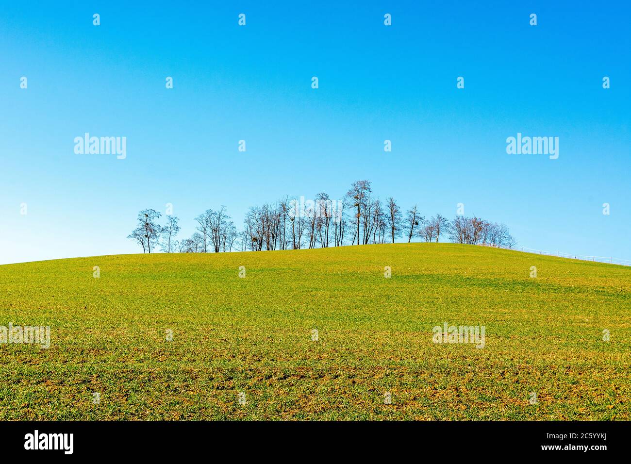 Raw of trees in a rural scene, France Stock Photo - Alamy