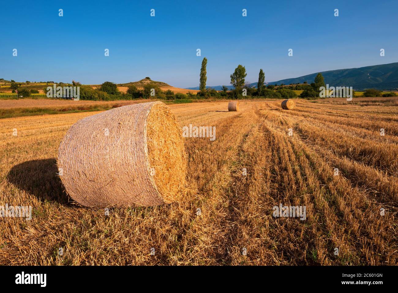 Hay bail in the field hi-res stock photography and images - Alamy