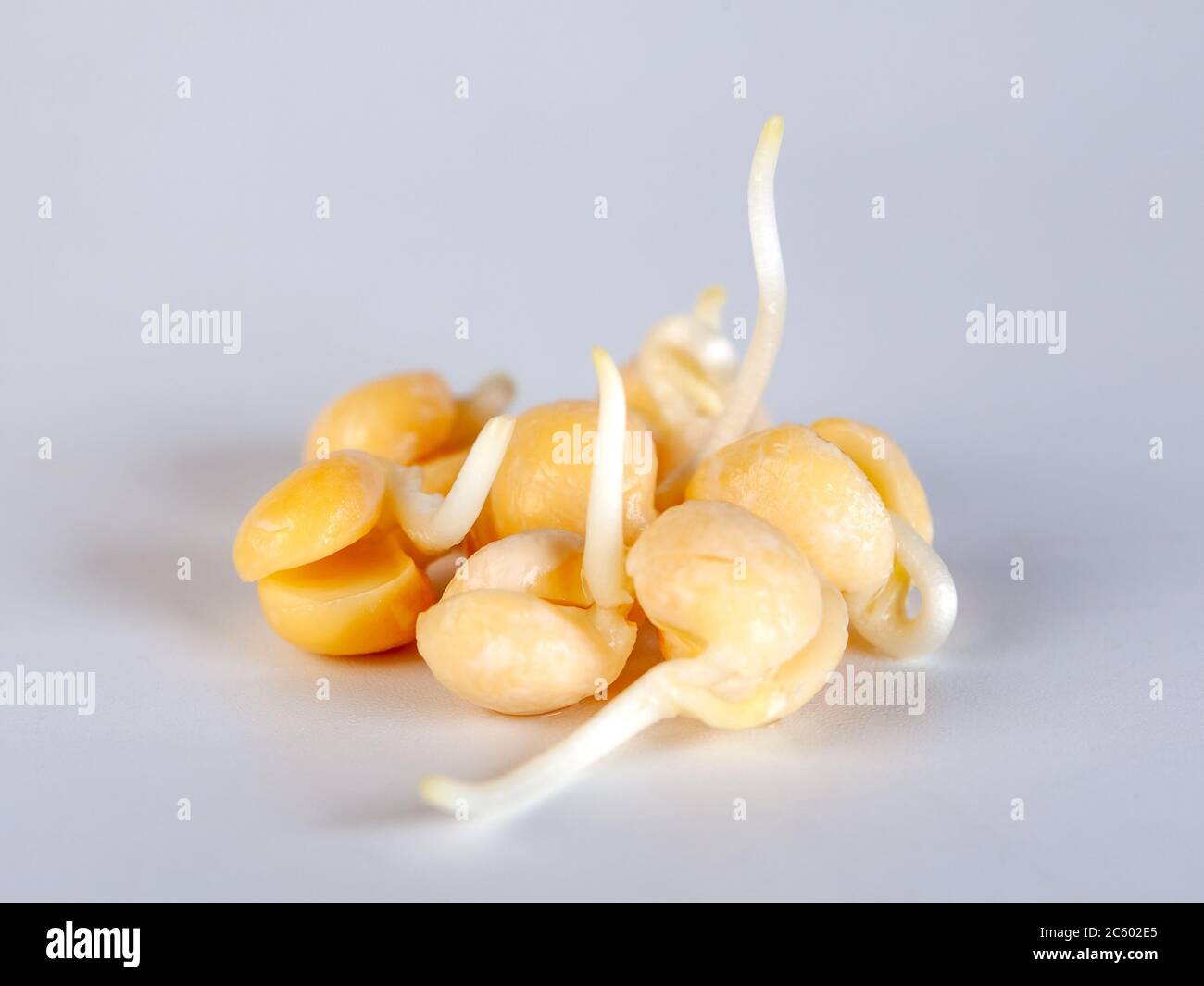 Pea sprouts on white background, healthy food Stock Photo - Alamy