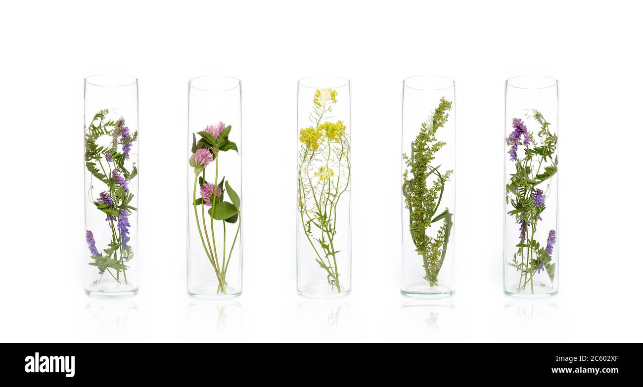 Bottle Natural cosmetics organic product from plants and flowers ...