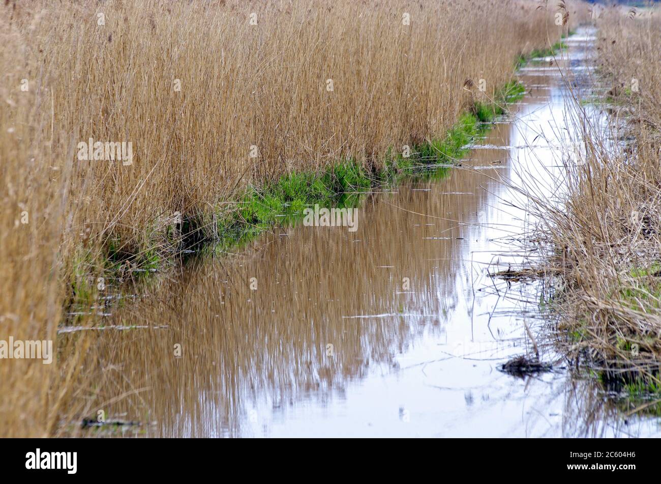 Small water channel hi-res stock photography and images - Alamy