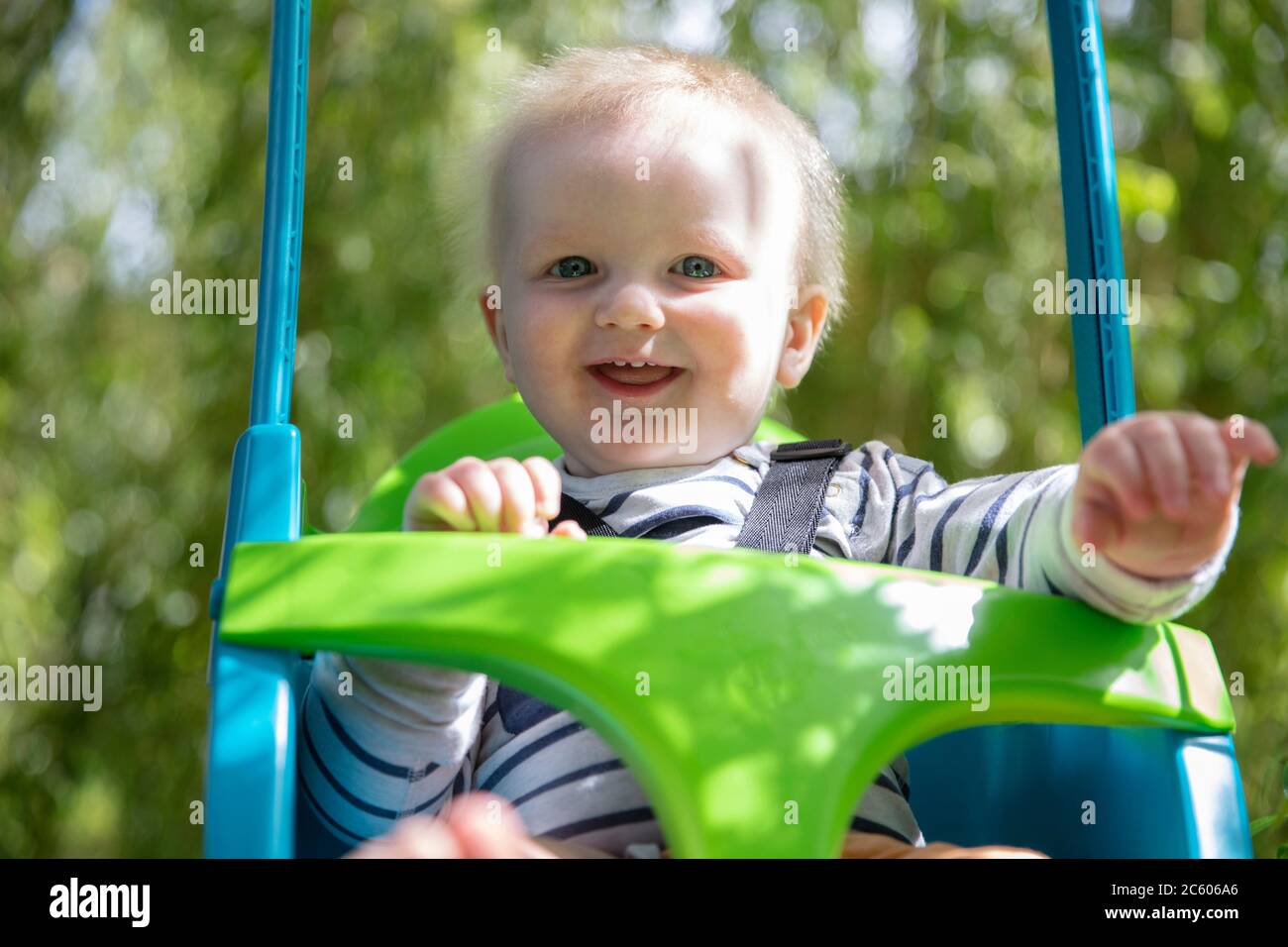A little boy having fun playing on a swing under a tree in a garden ...