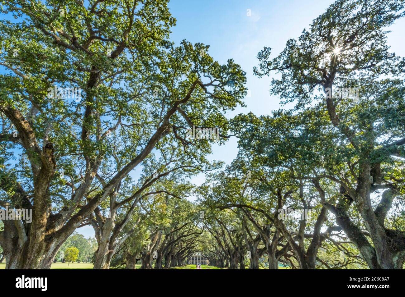 Slavery house 1800s hi-res stock photography and images - Alamy