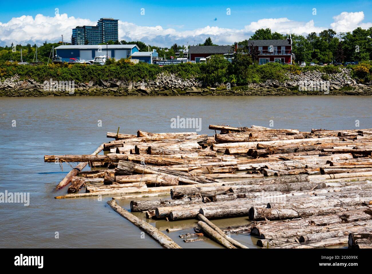 Log floating in river hi-res stock photography and images - Alamy