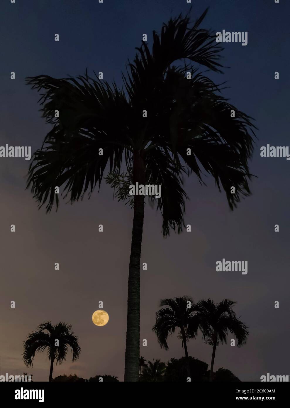 Moon moonrise hi-res stock photography and images - Alamy