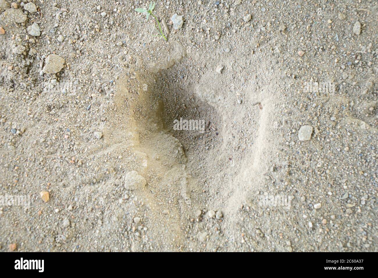 Hollow earth hi-res stock photography and images - Alamy