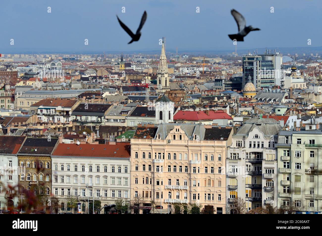 Pest city hi-res stock photography and images - Alamy