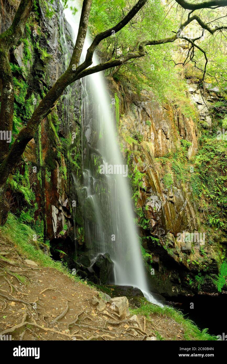 Marce hi-res stock photography and images - Alamy