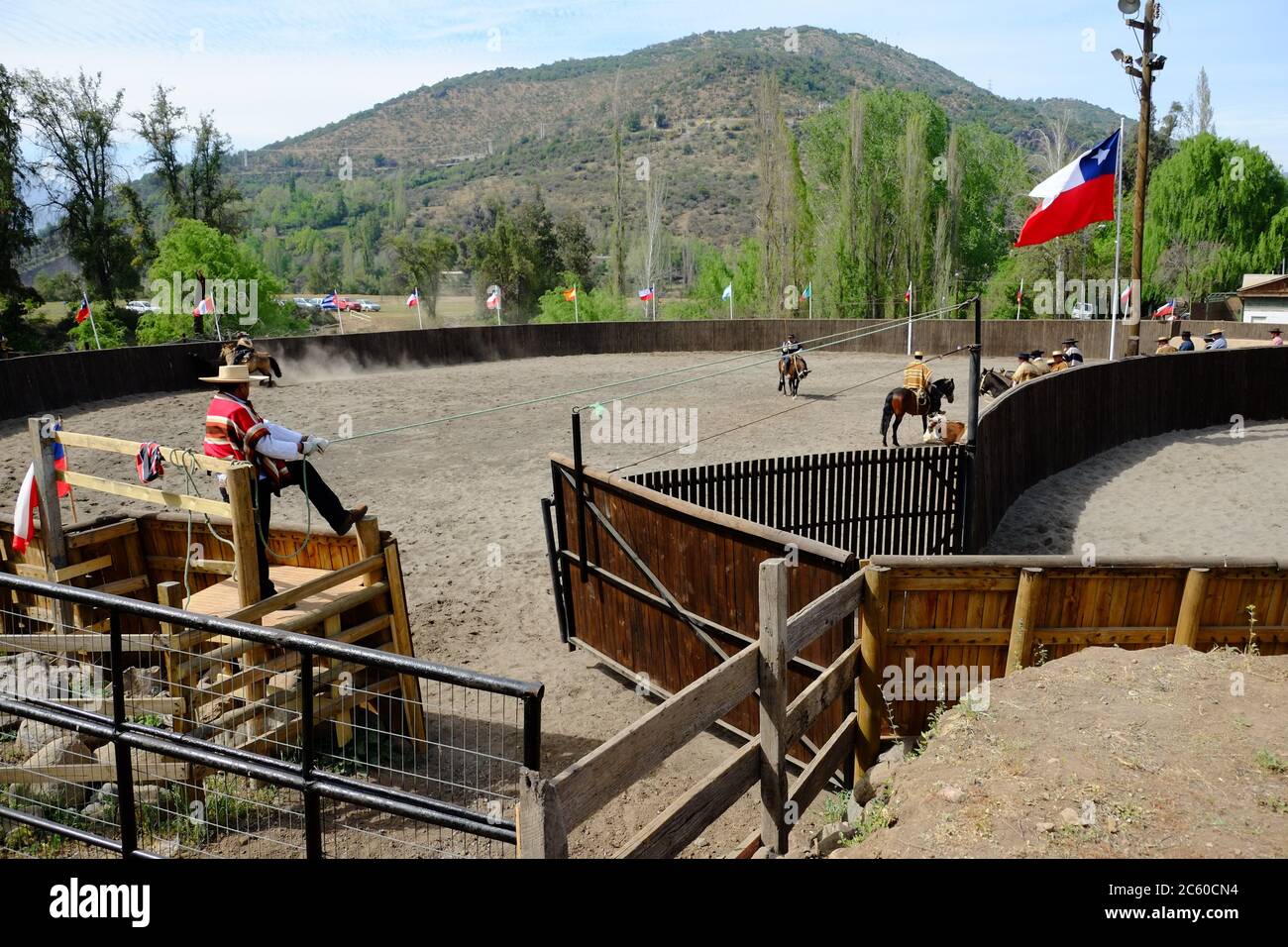 Human cow costume hi-res stock photography and images - Alamy