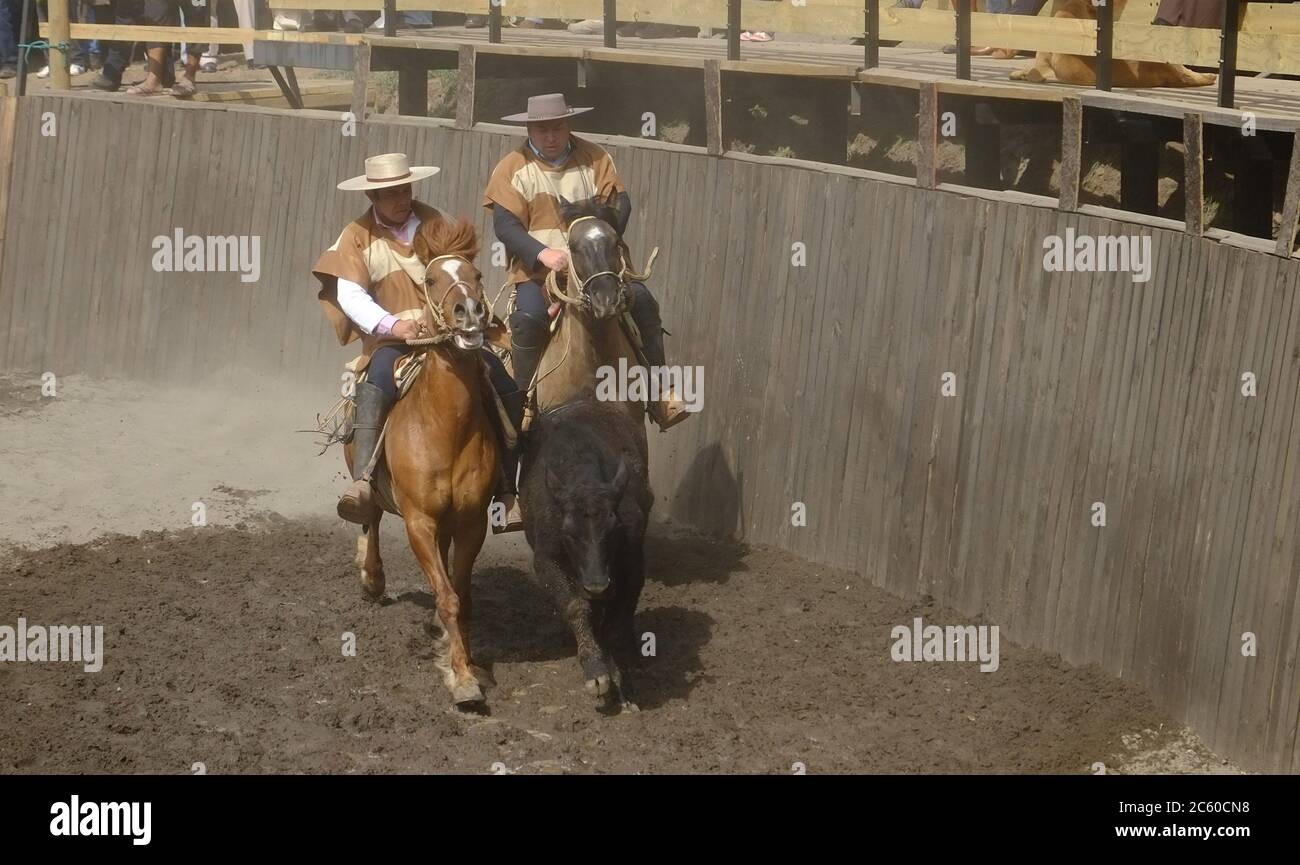 Human cow costume hi-res stock photography and images - Alamy