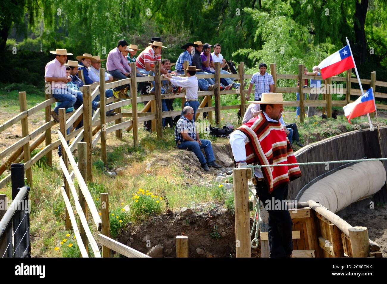 Human cow costume hi-res stock photography and images - Alamy