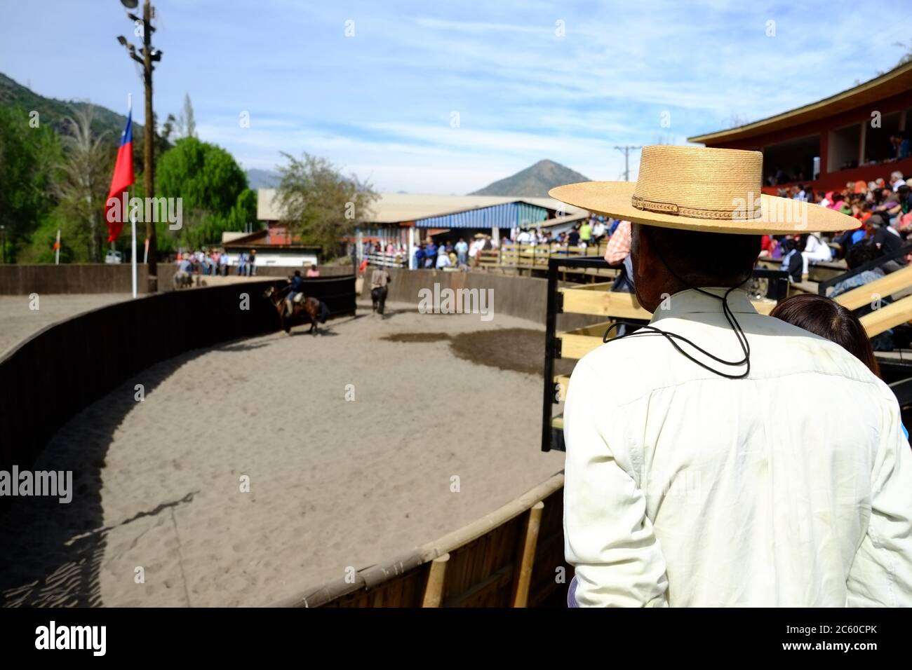 Human cow costume hi-res stock photography and images - Alamy