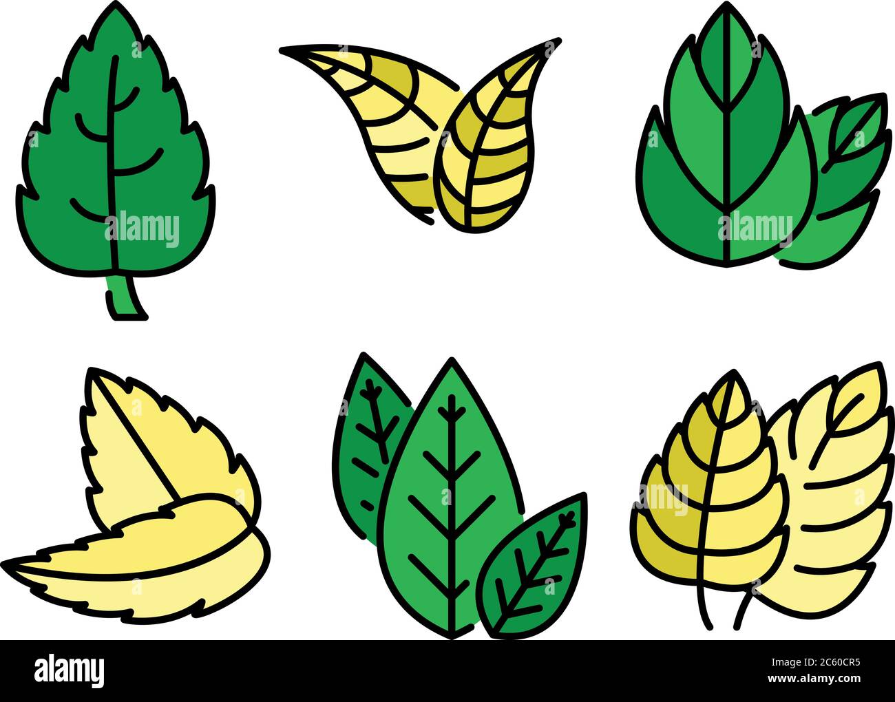 Mint icons vector flat Stock Vector Image & Art - Alamy