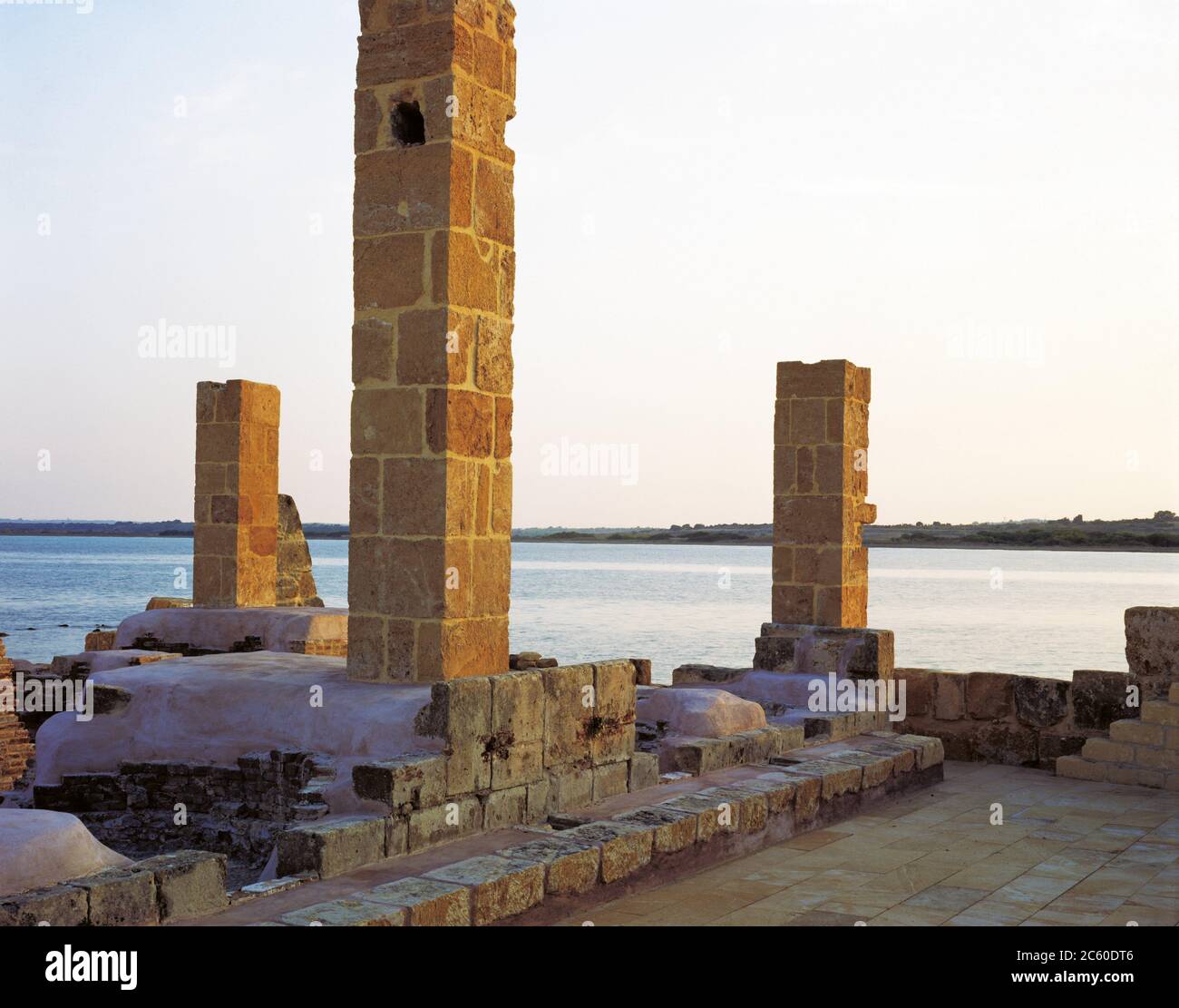 After The Mating High Resolution Stock Photography and Images - Alamy