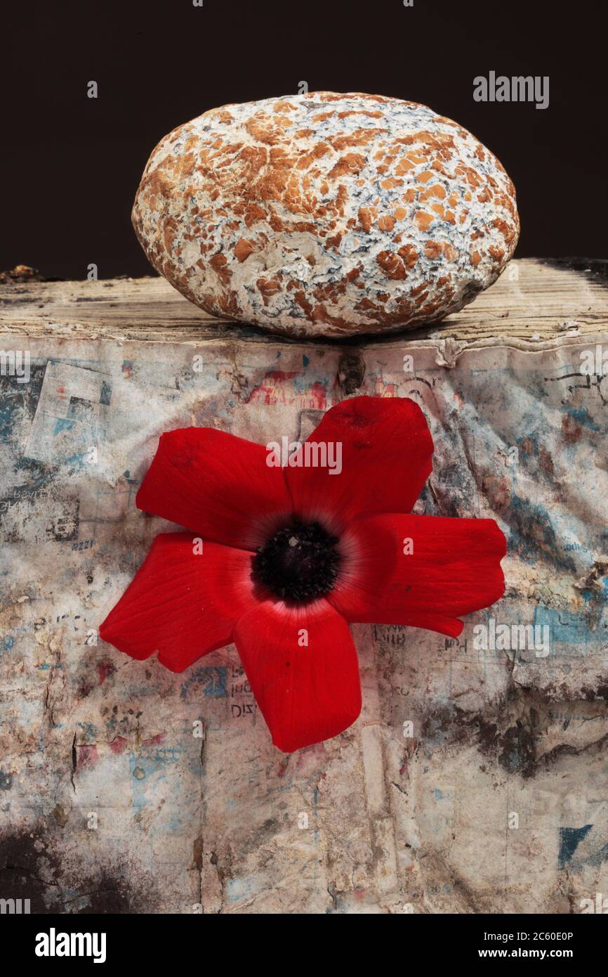 The burnt stone hi-res stock photography and images - Alamy