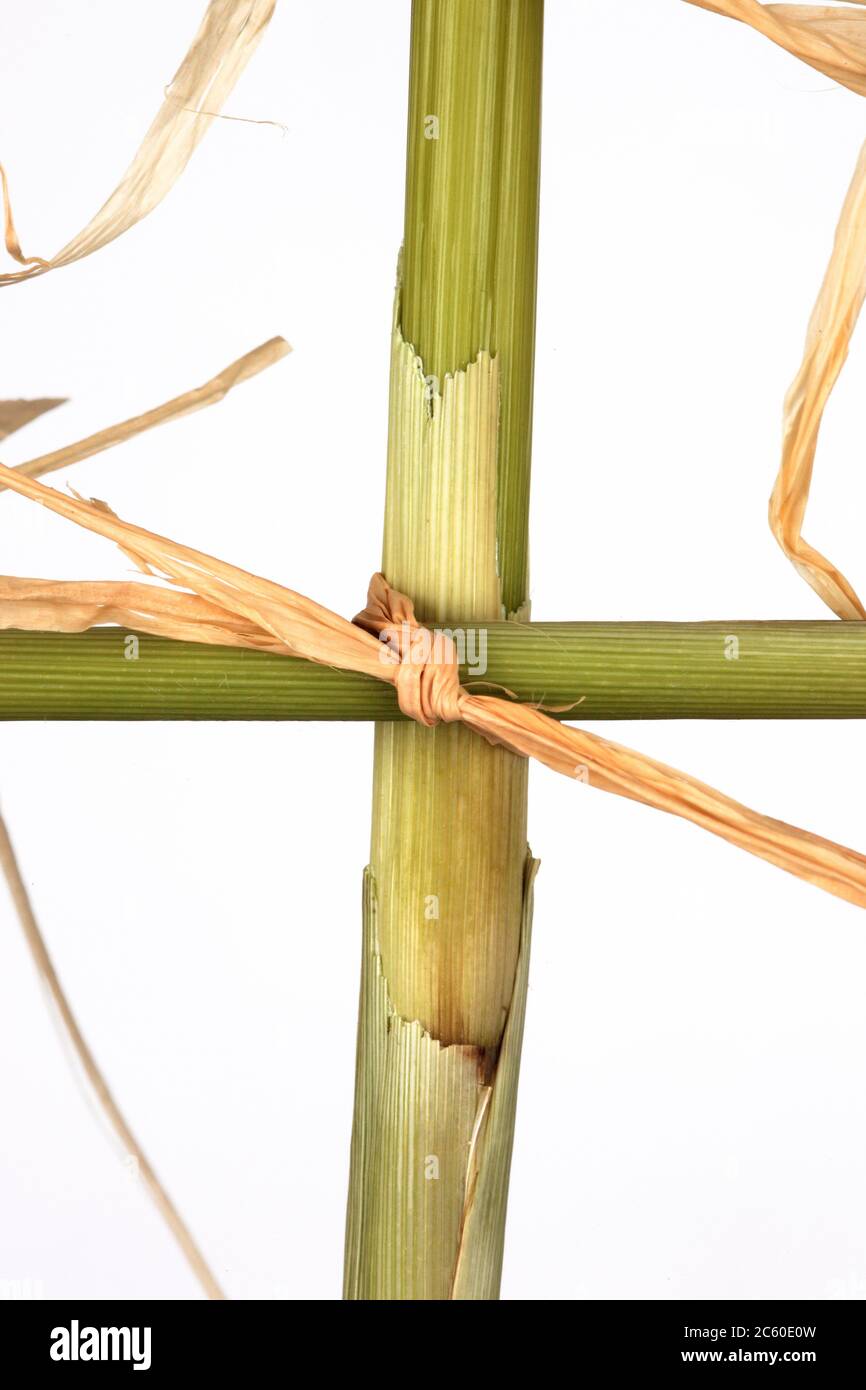 Rafia High Resolution Stock Photography and Images - Alamy