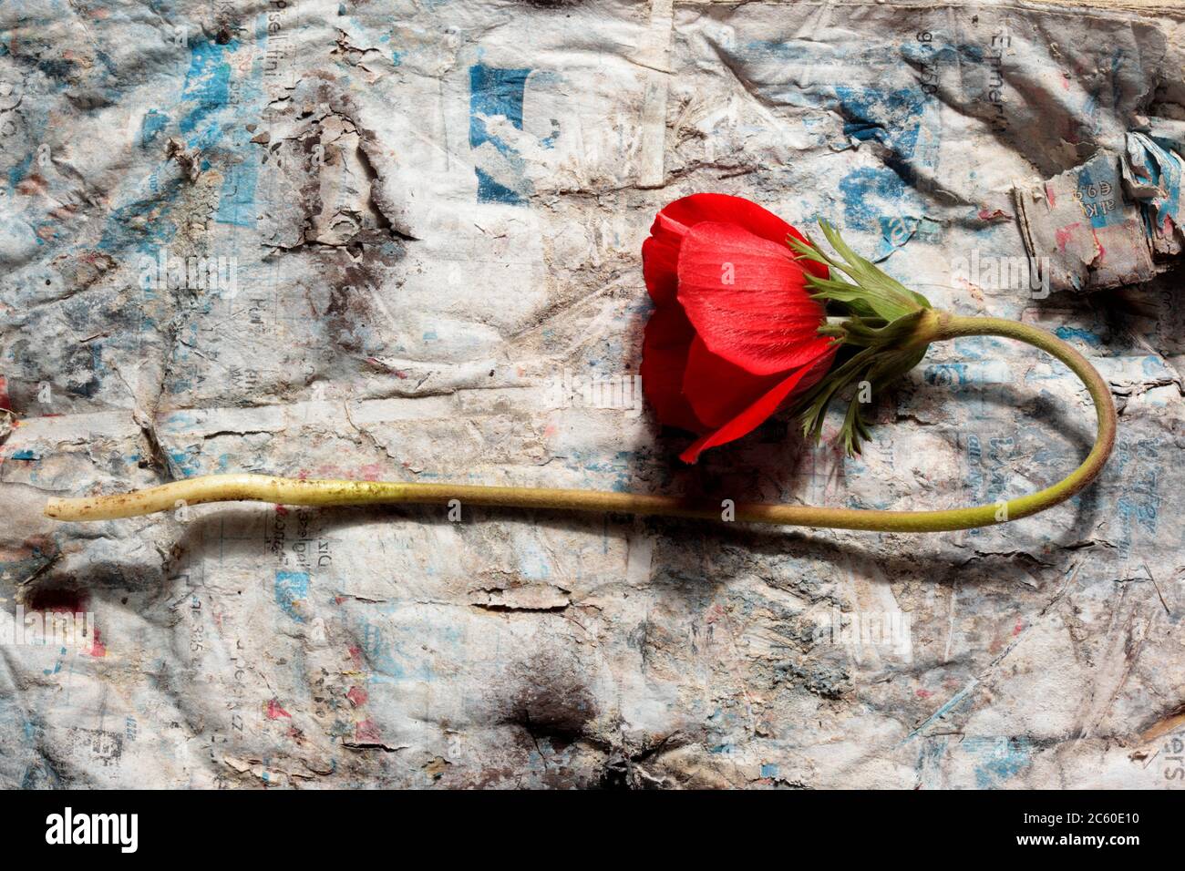 Worn out color hi-res stock photography and images - Alamy