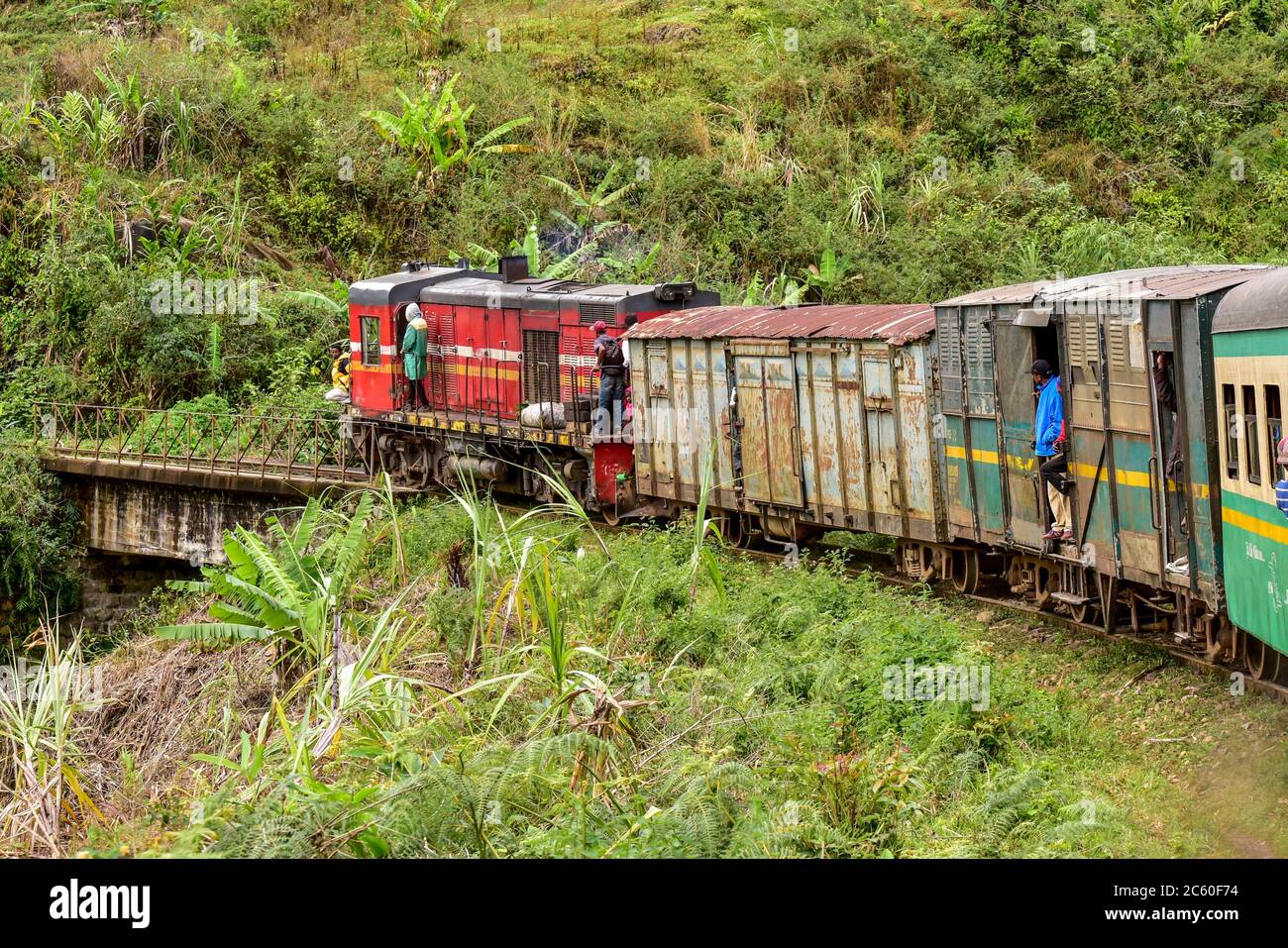 Madagascar train jungle hi-res stock photography and images - Alamy