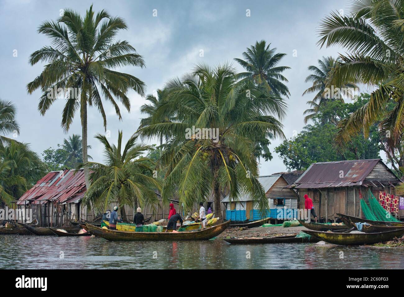 Manakara pousse pousse hi-res stock photography and images - Alamy