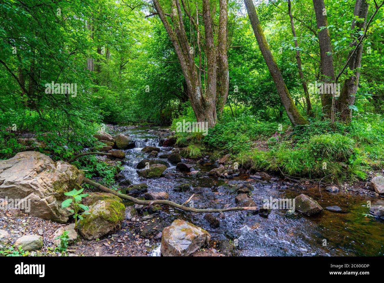 Grölisbach creek, later becomes Vichtbach, Vichtbachtal, near Roetgen ...