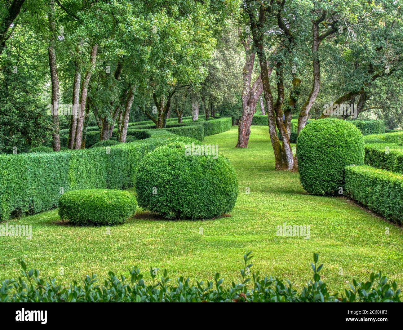 Sculpted hedges hi-res stock photography and images - Alamy