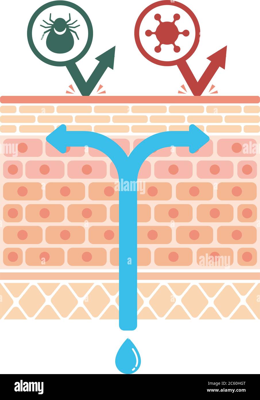 Skin care no people Stock Vector Images - Alamy