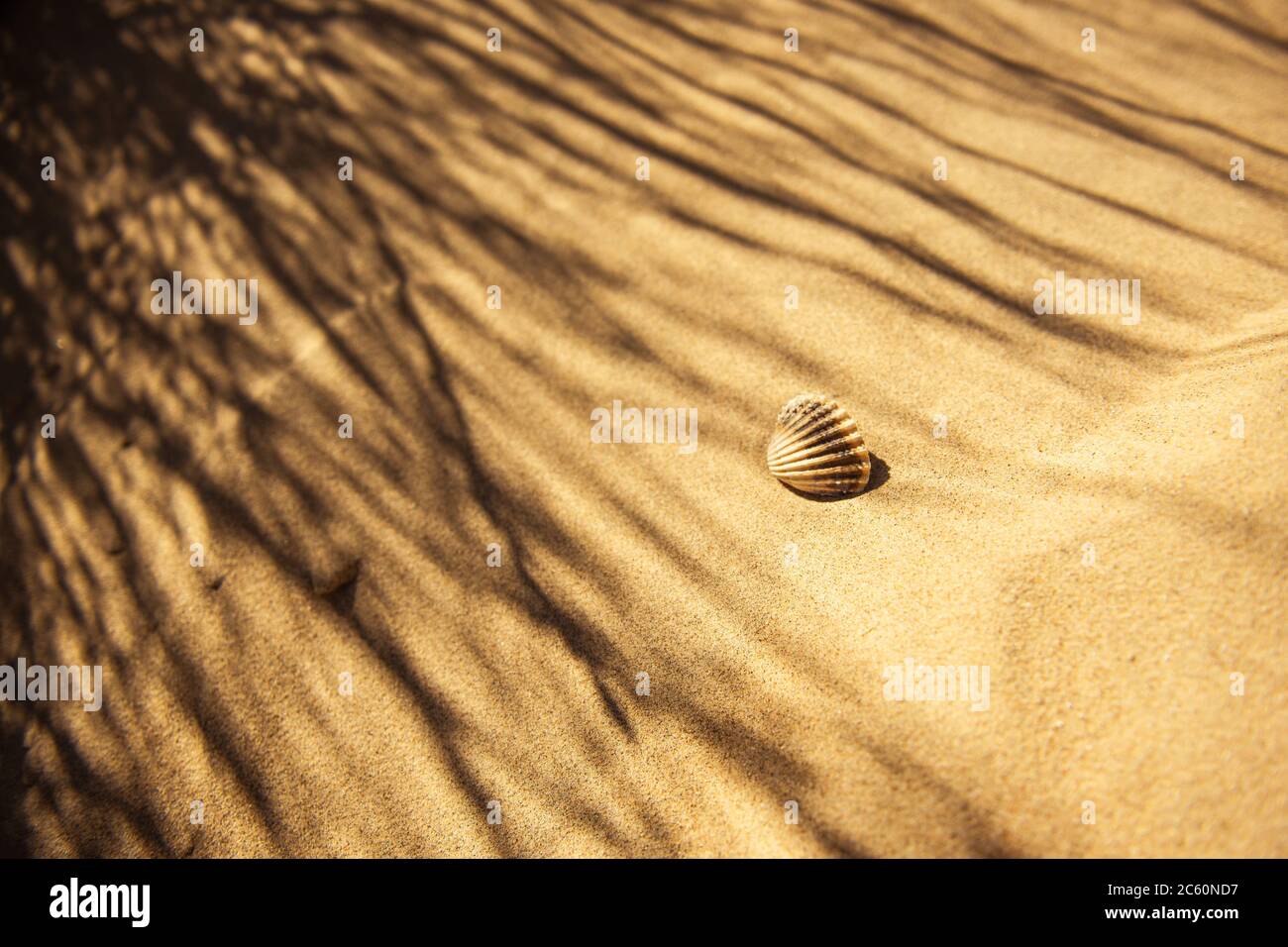 Long sandy beach england hi-res stock photography and images - Alamy