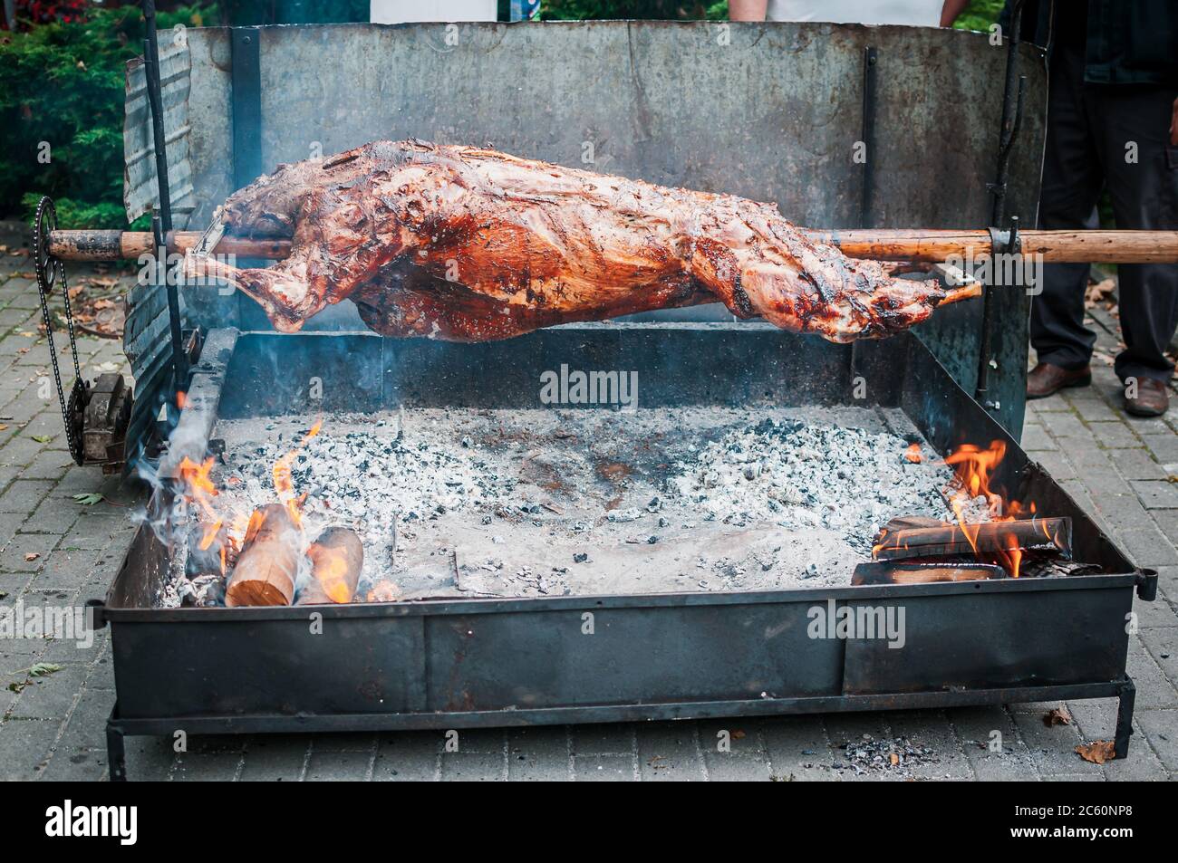 The carcass of the calf is baked on the grill, rotates on a spit Stock ...