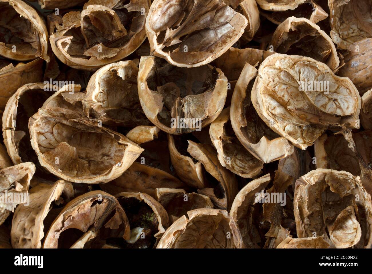 Empty seed pod hi-res stock photography and images - Alamy