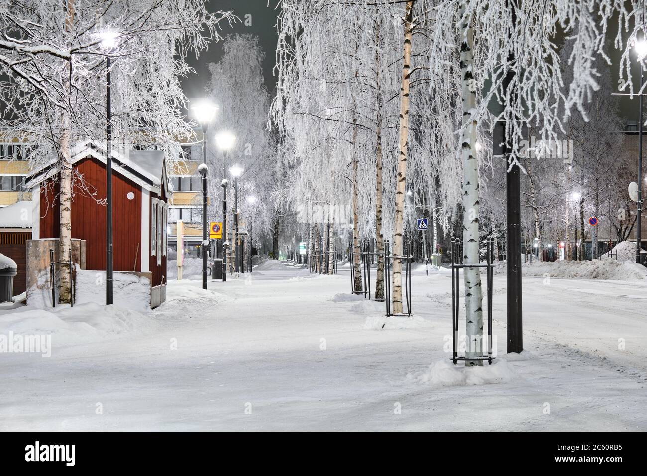 Winter street with trees hi-res stock photography and images - Alamy