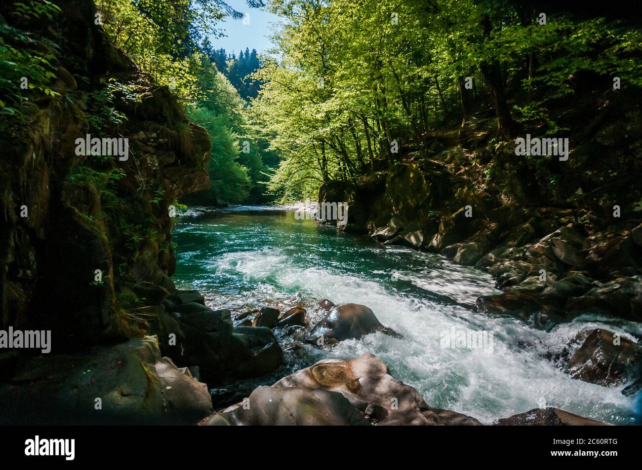 Creek among forest hi-res stock photography and images - Alamy