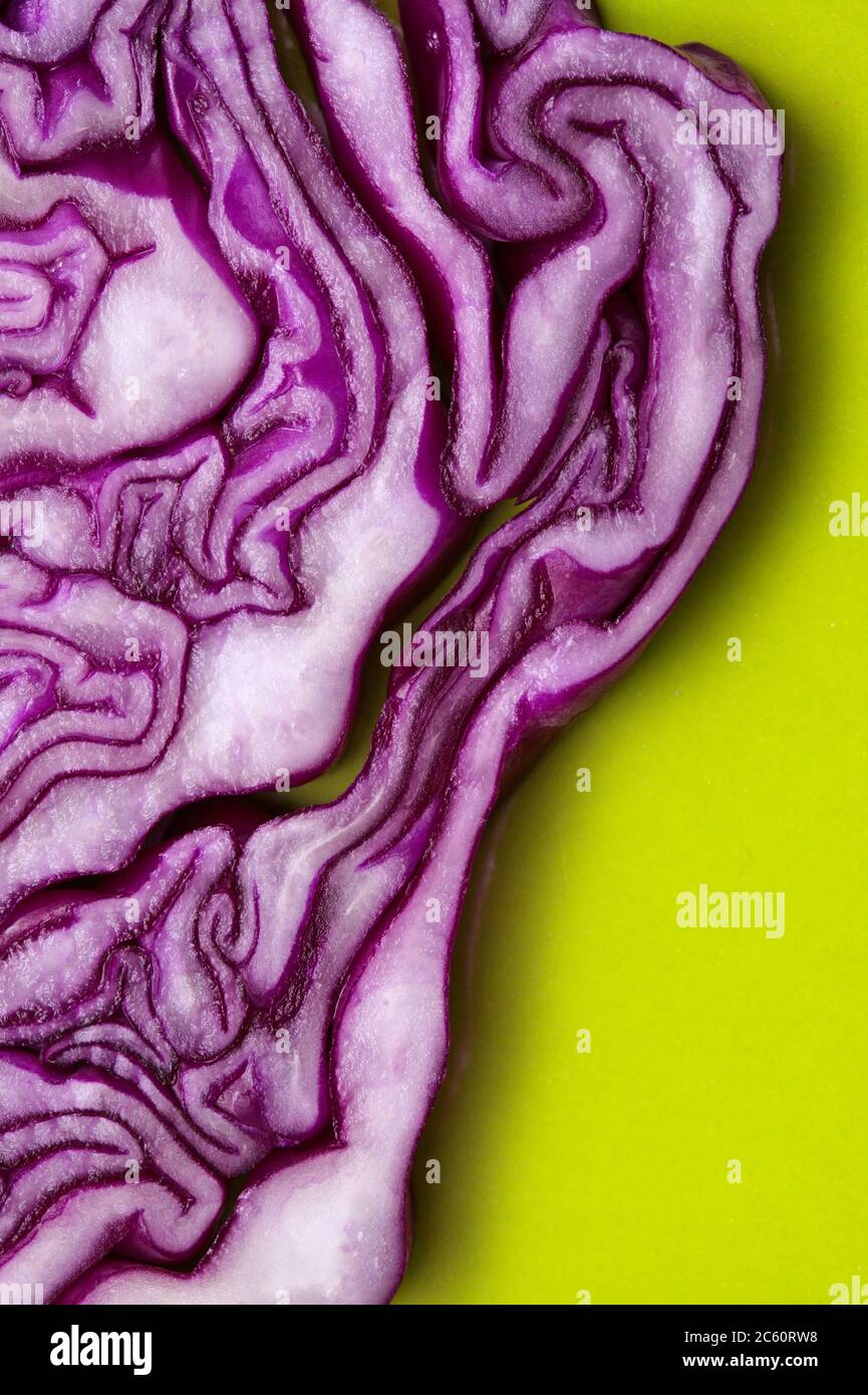 Red Cabbage cut, with inner patterns of folded leaves visible Stock ...