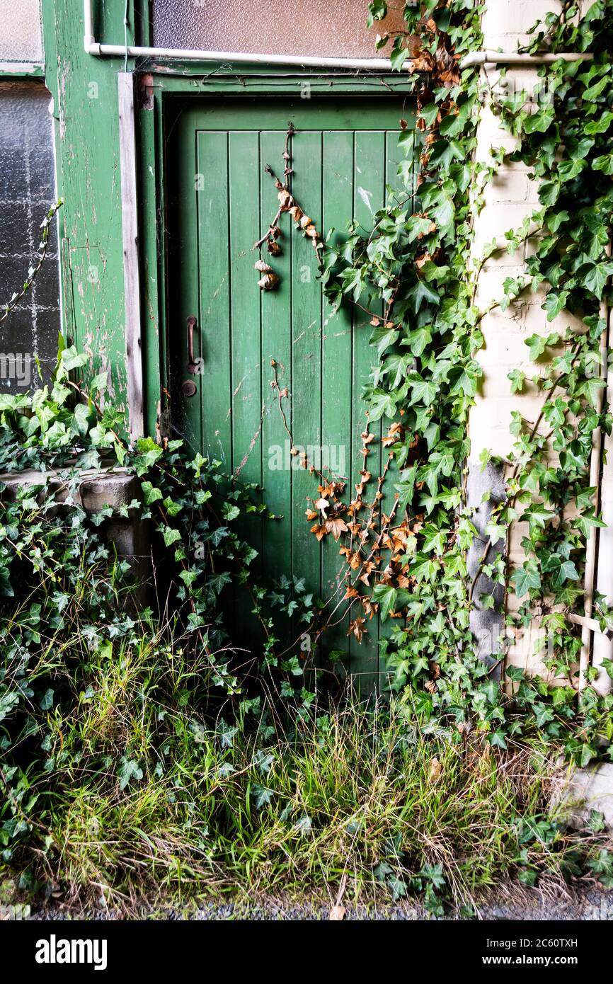Overgrown Garden Door 1,160 Overgrown Door Stock Photos, High Res