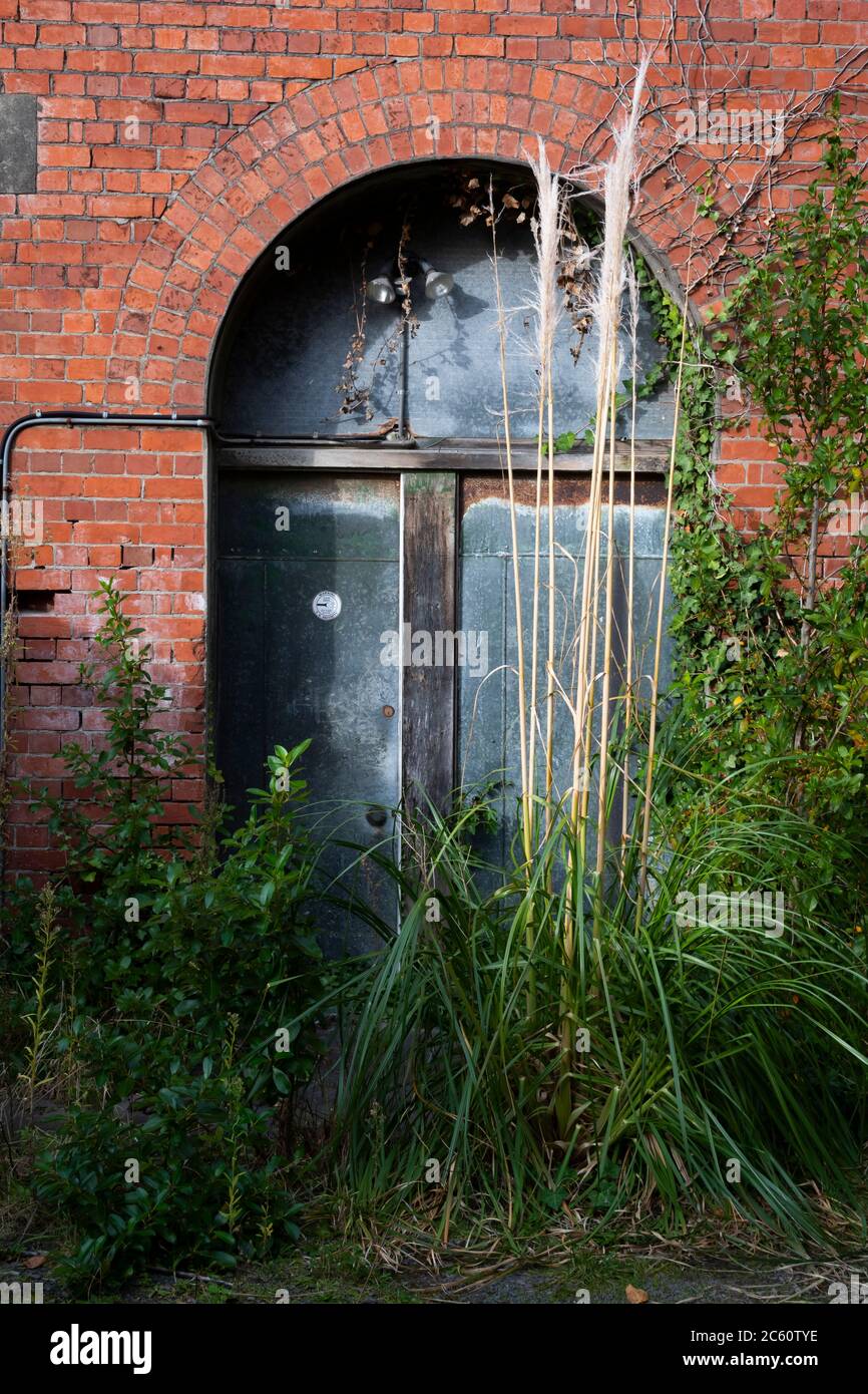 Overgrown door hi-res stock photography and images - Alamy