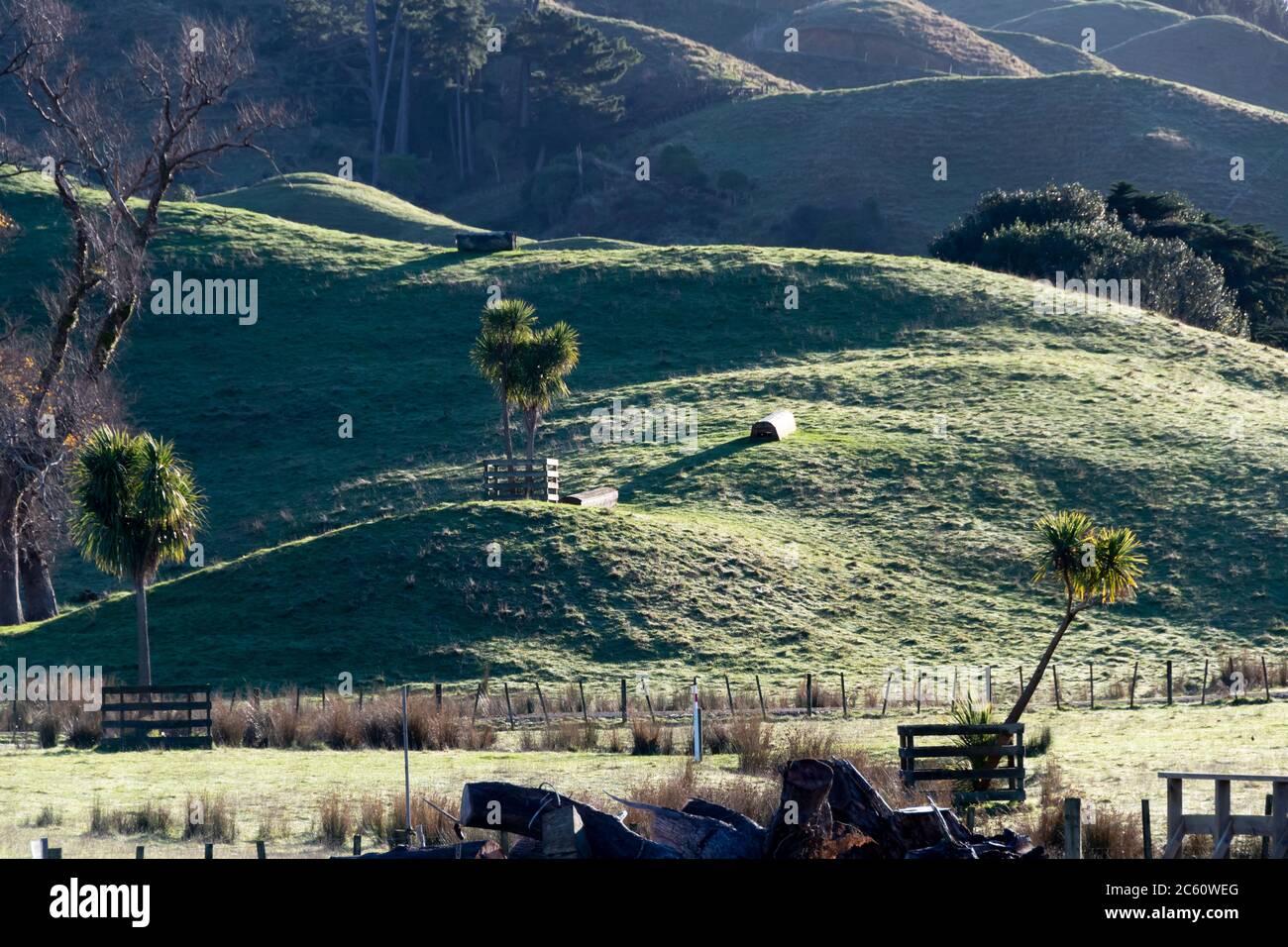 Rolling hills, farmland, early morning, Battle Hill Regional Park, near ...