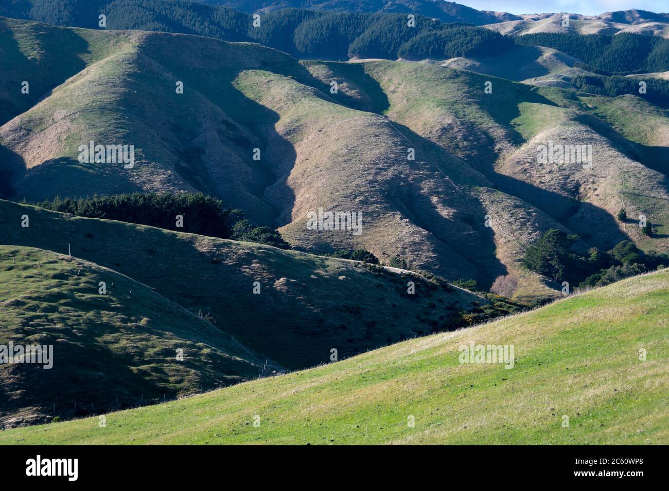 Hilly farmland near Paekakariki, Kapiti, North Island, New Zealand ...
