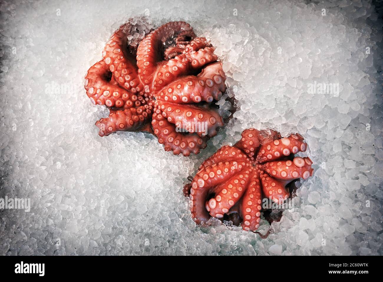 Two raw octopus on ice at the fish market Stock Photo - Alamy