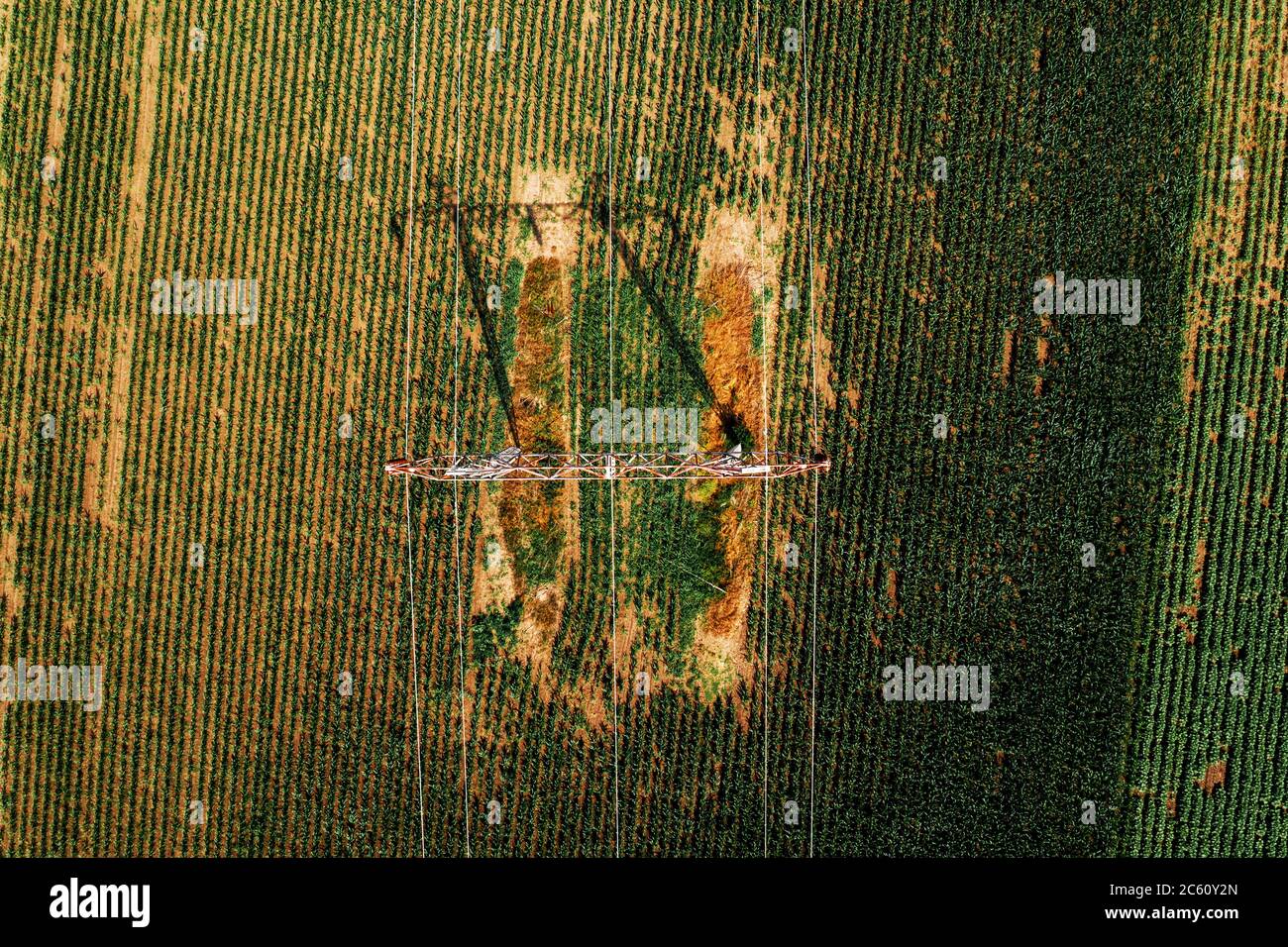 Aerial view of electricity pylons in agricultural field casting shadow ...
