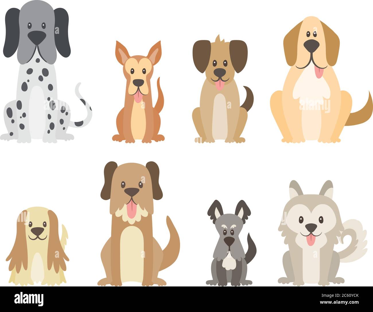 Collection of different kinds of dogs isolated on white background ...