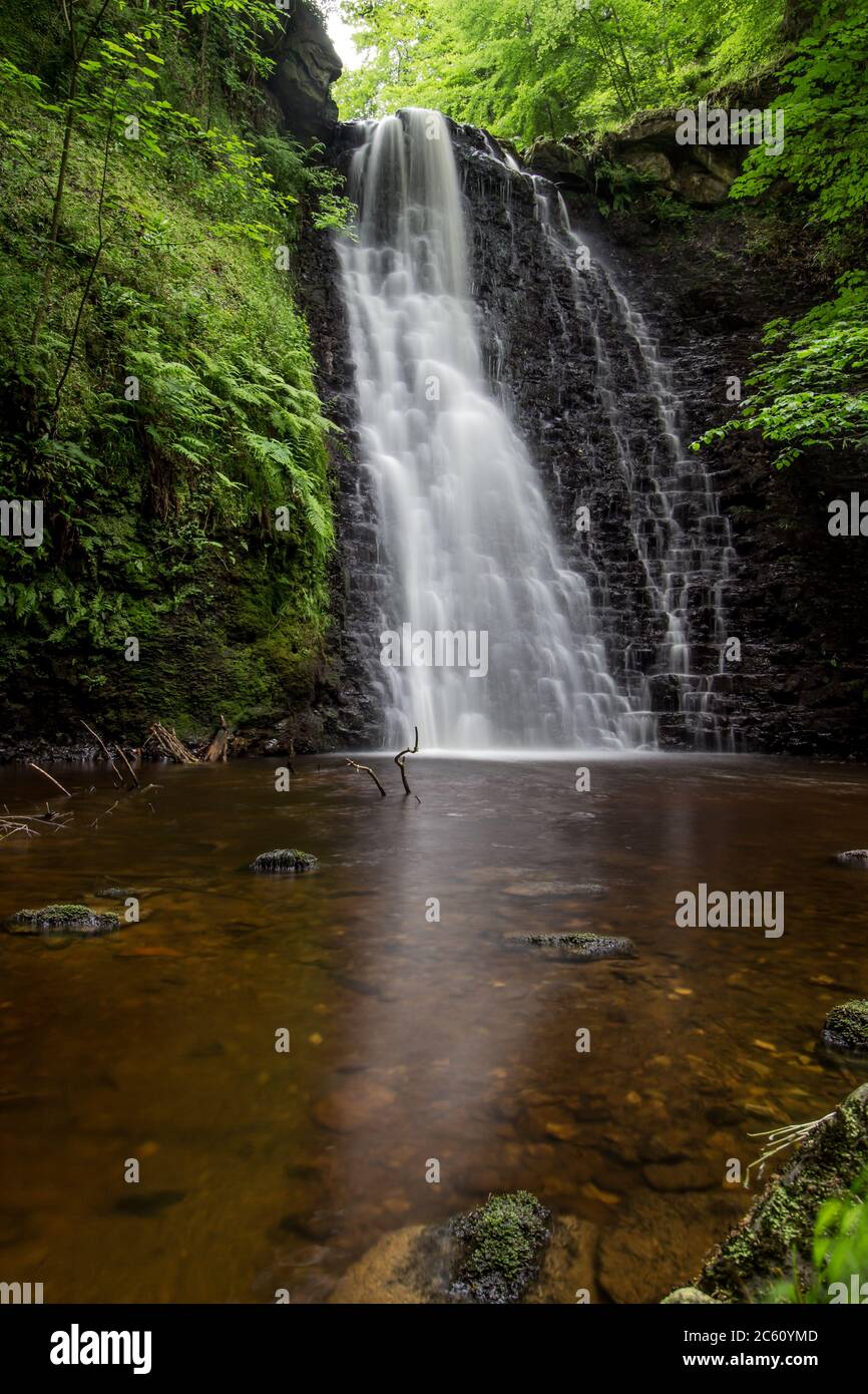 Large cascading waterfall tumbling into a peaceful pool. Falling foss ...