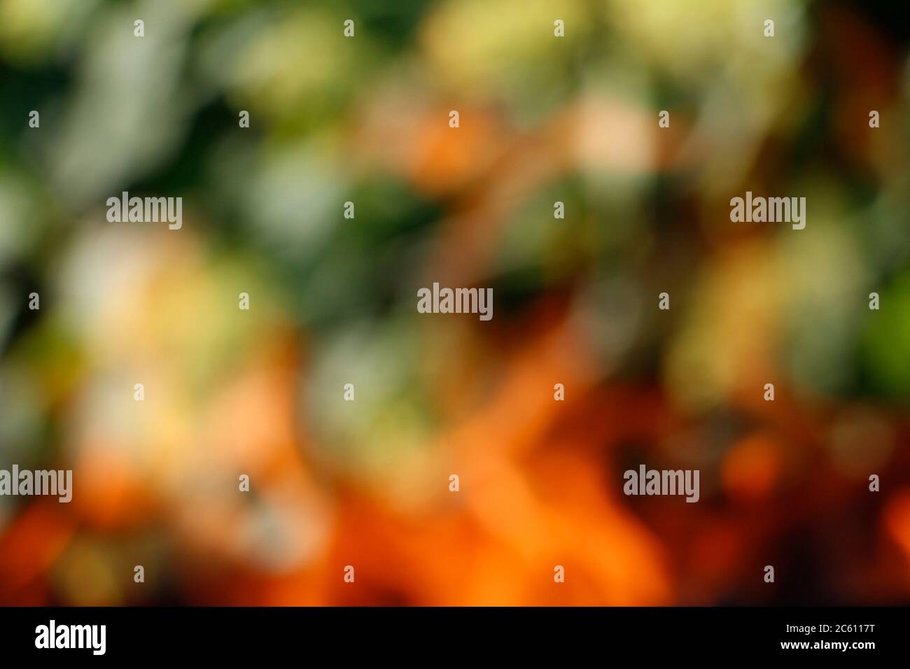 Texture. Bonfire. Orange flame of a fire. Bonfire close. Fire in nature ...