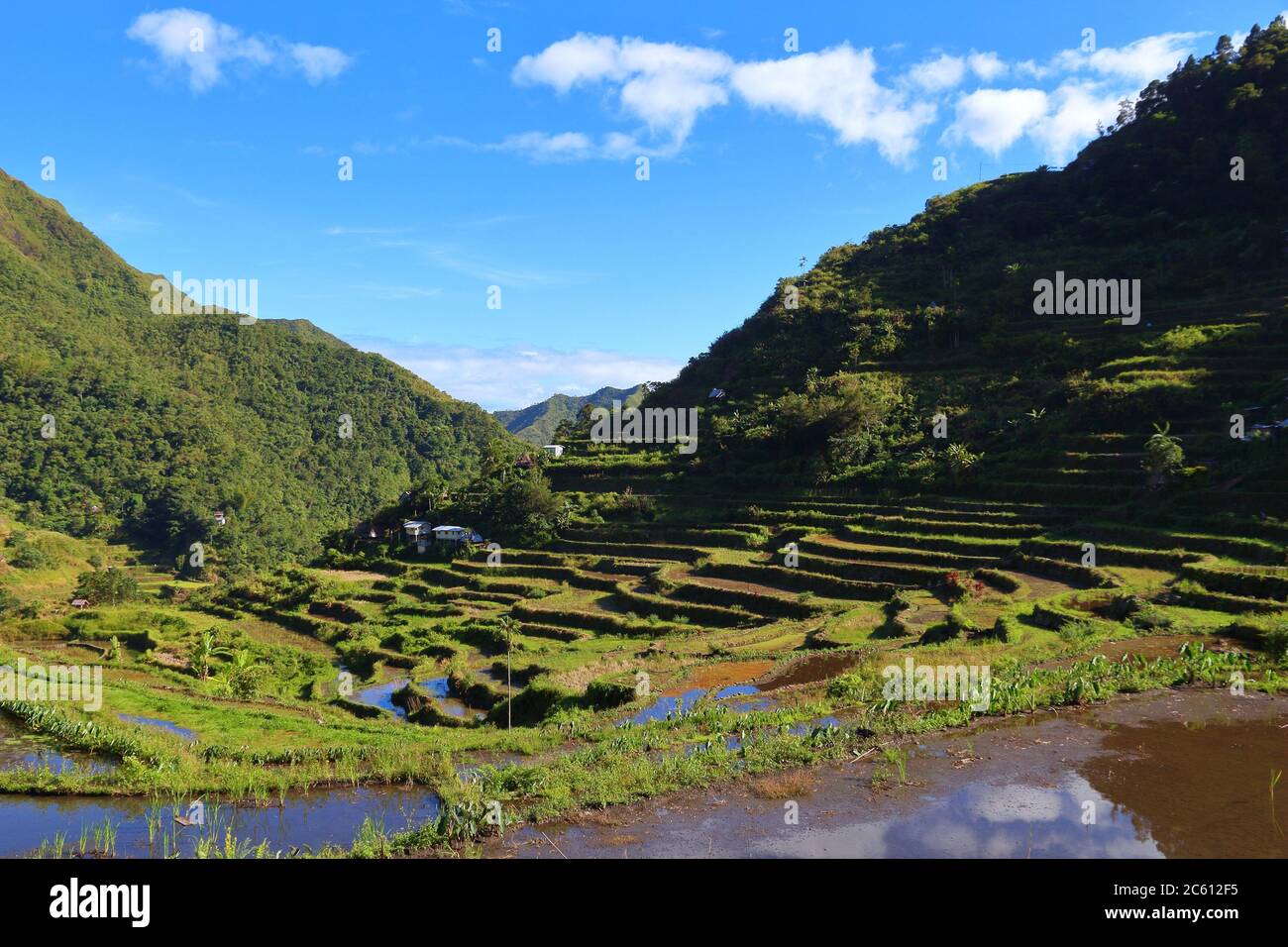 Rice terraces in Philippines. Rice paddies valley of Batad Stock Photo ...