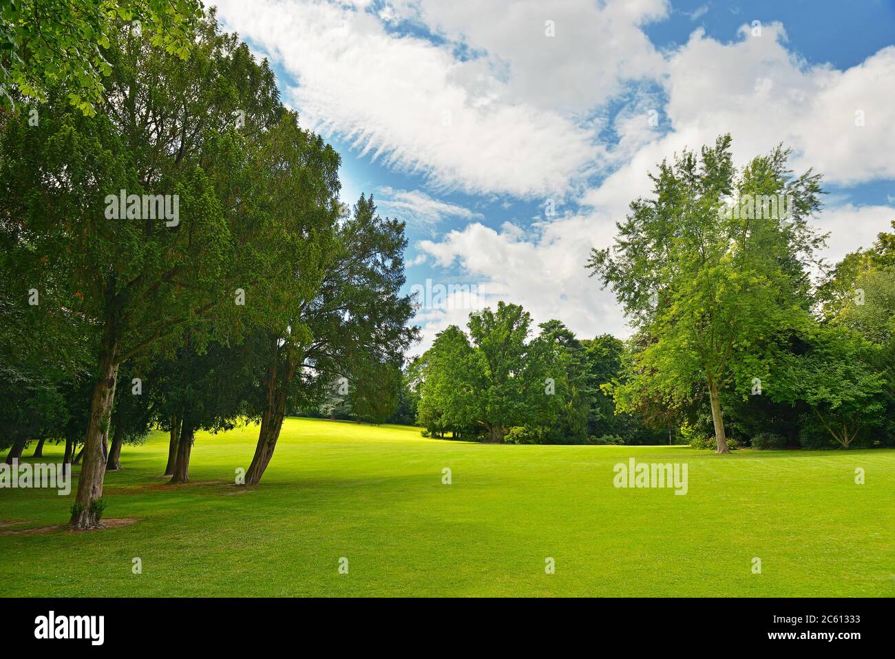 Large golf course in beautiful summer park Stock Photo - Alamy