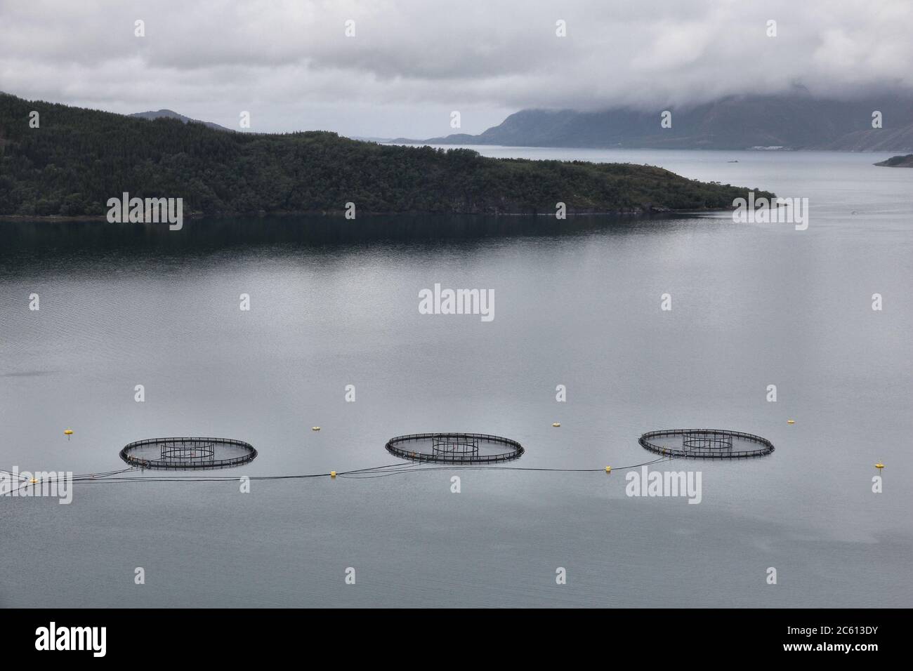 Norway landscape near Glomfjord. Rainy weather - salmon fish farm Stock ...