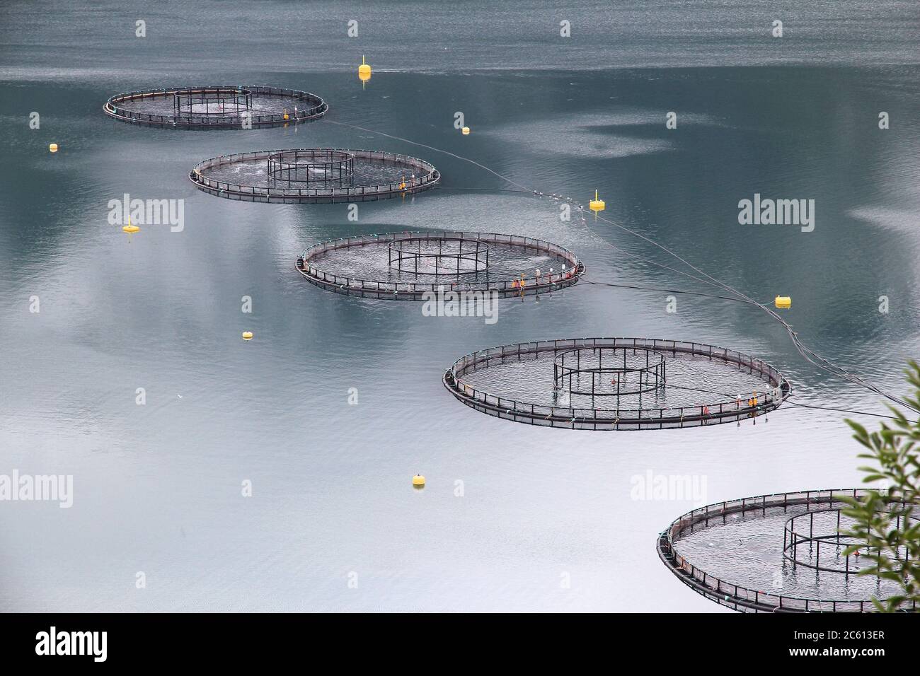 Norway landscape near Glomfjord. Rainy weather - salmon fish farm Stock ...