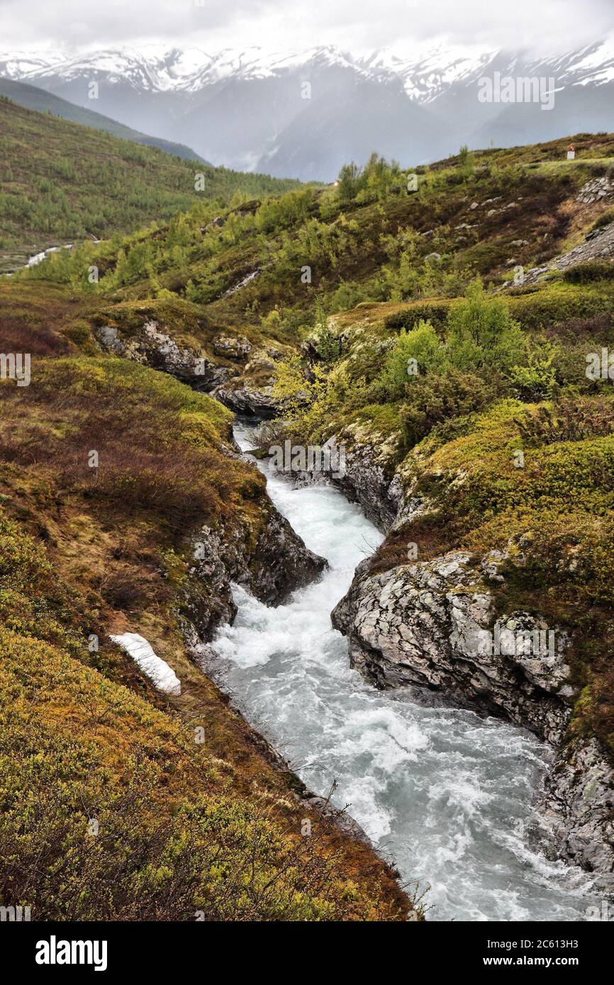 Tundra biome landscape in Norway. Mountain stream in Aurlandsfjellet ...