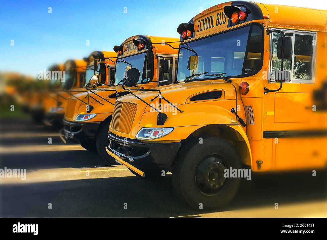 Low angle view of the front end of yellow public school buses parked in ...