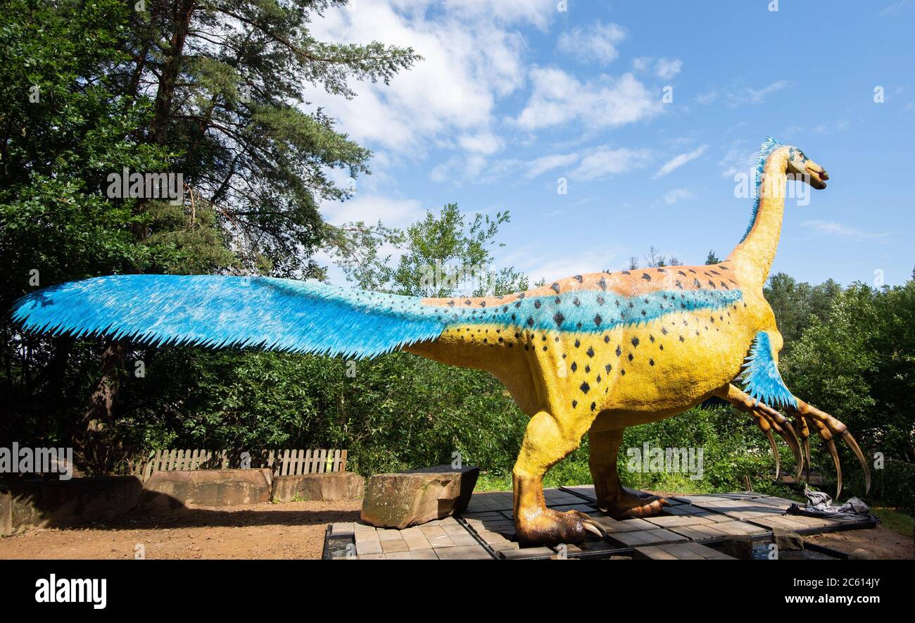 Scythe lizard hi-res stock photography and images - Alamy