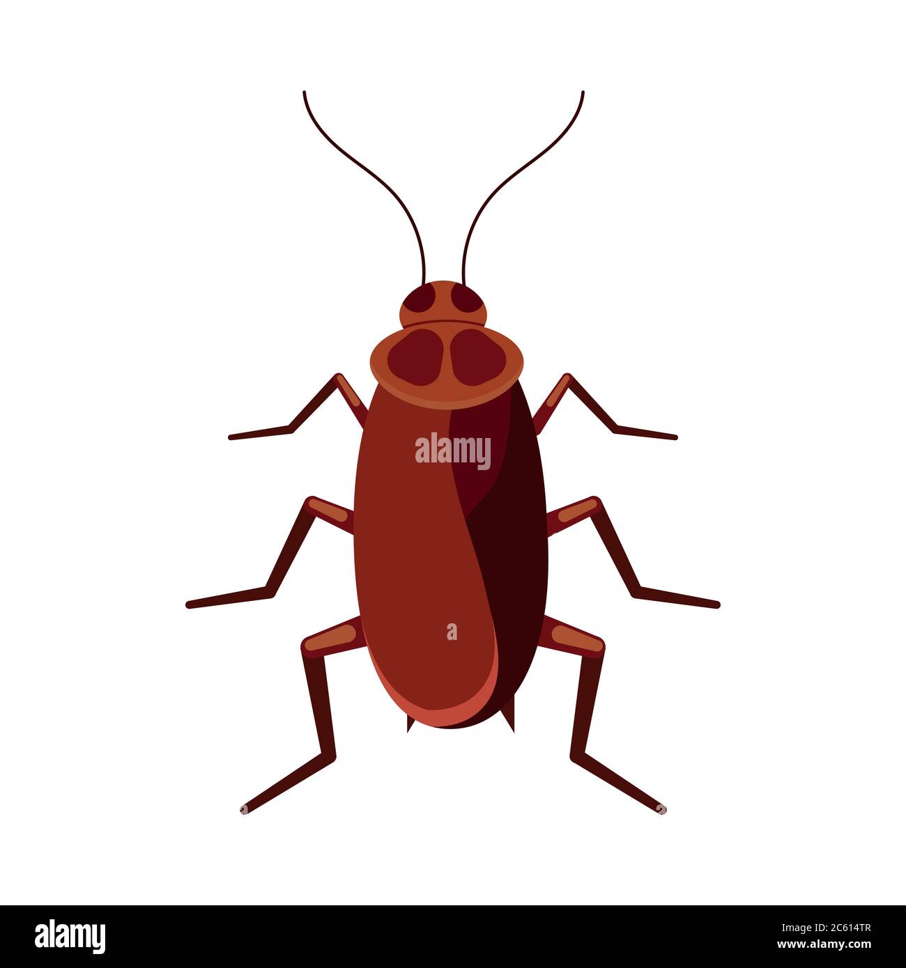 Cockroach vector icon isolated on white background Stock Vector Image ...